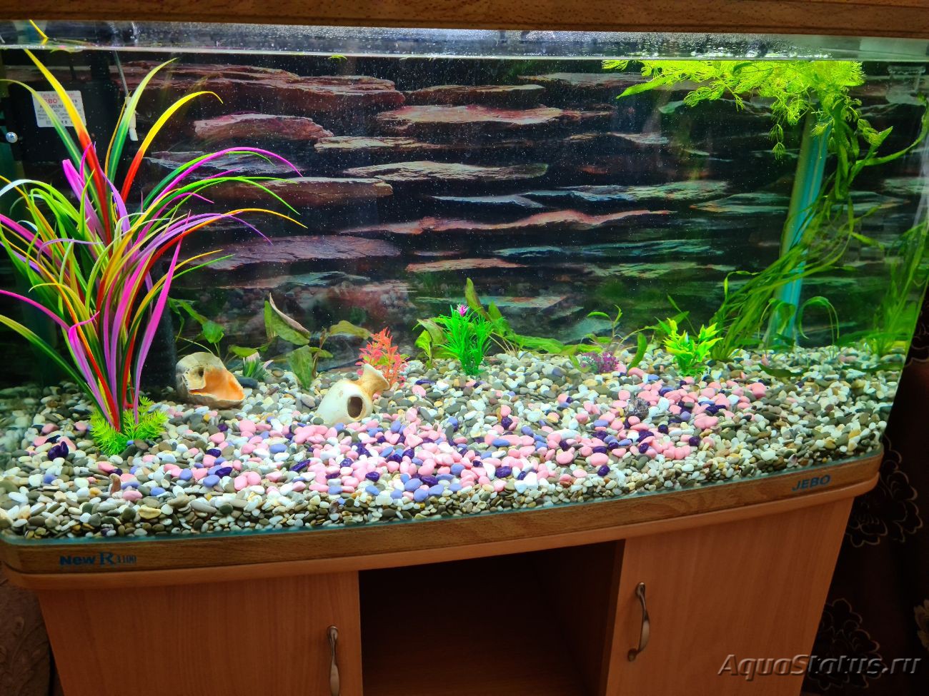 Аквариум Jebo R3100 208 литров (Dushman) (Мой аквариум, тема #38730)